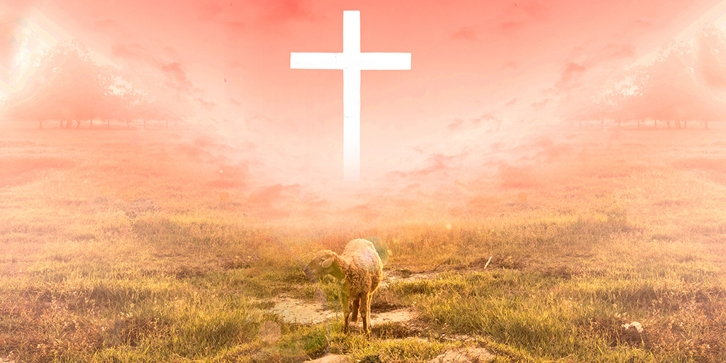 The Lamb Of God Devotional Commentary For January 13 19 At Practical